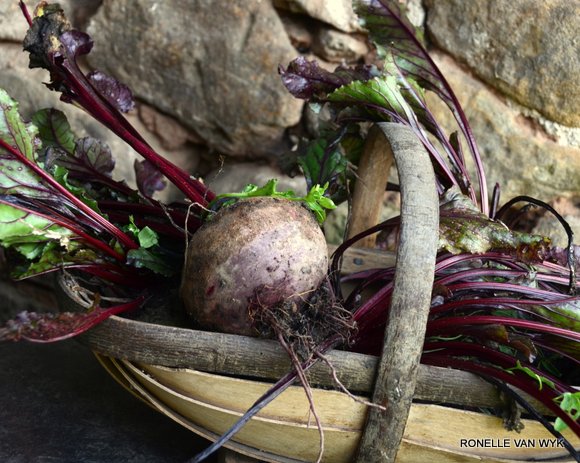 Autumn – Myfrenchkitchen