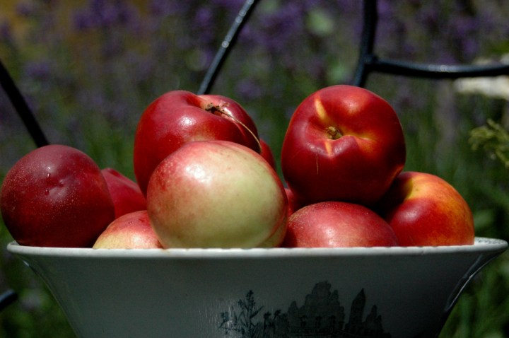 Roasted peaches with honey and thyme. – Myfrenchkitchen