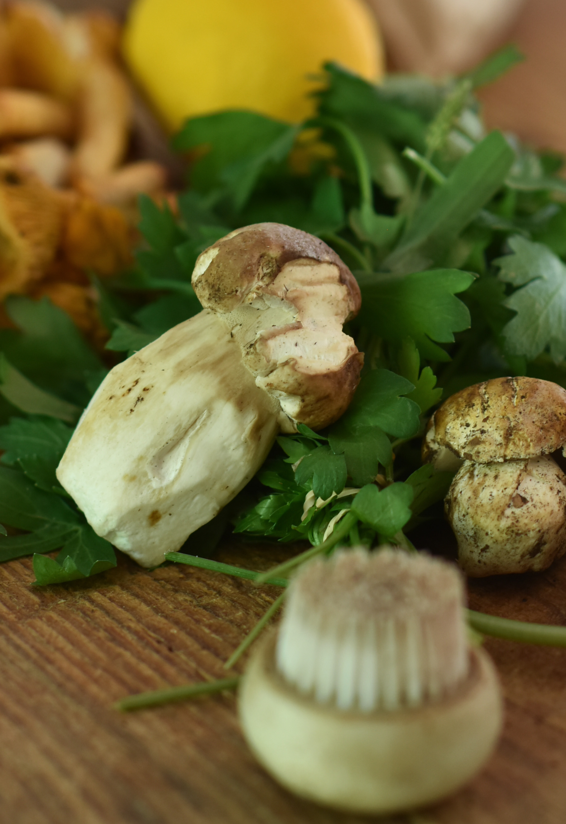 Wild mushrooms with lemon and nutmeg – Myfrenchkitchen